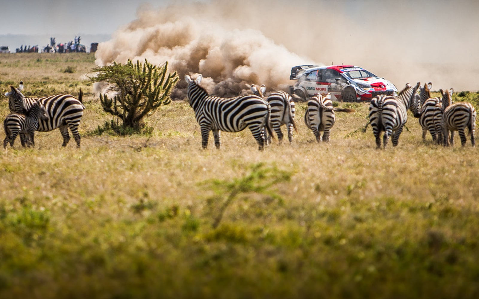 Safari Rally 2024 | Mojatu Magazine